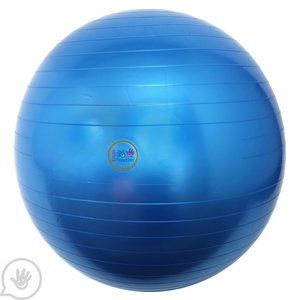 Fun and Function | Other | Fun And Function Therapy Ball For Kids ...